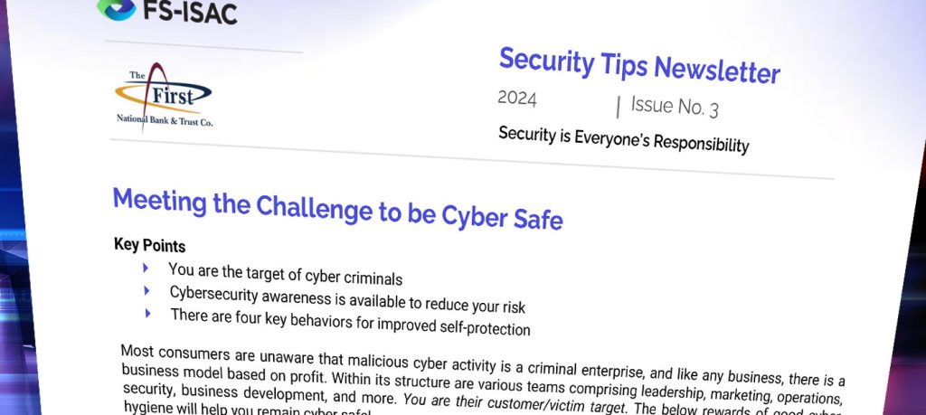 Meeting the Challenge to be Cyber Safe (series)